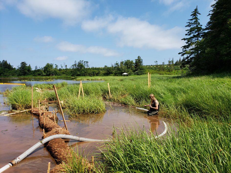 Estuary Restoration – Kensington North Watersheds